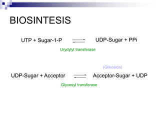 GLIKOSIDA.ppt