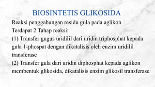 GLIKOSIDA salah satu kandungan kimia alami pada tanaman | PPTX