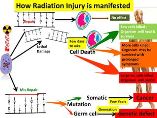 Glimpse of clinical radiobiology course | PPTX