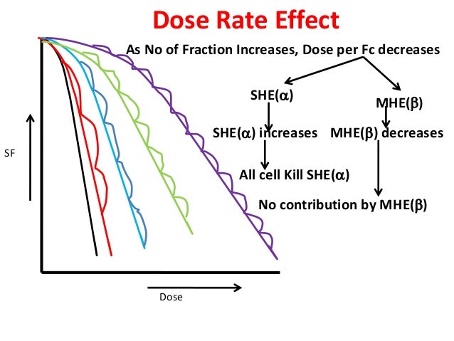 Glimpse of clinical radiobiology course