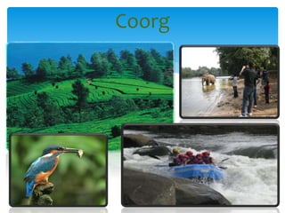 Glimpses Of India Class 10th | PPTX