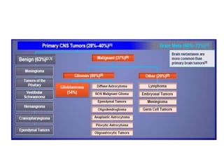 Glioblastoma multiforme (GBM) Radiotherapy planning and management ...