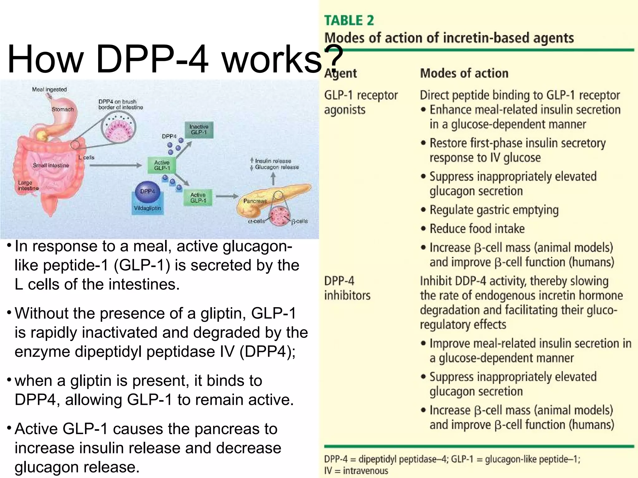 Gliptins | PPT