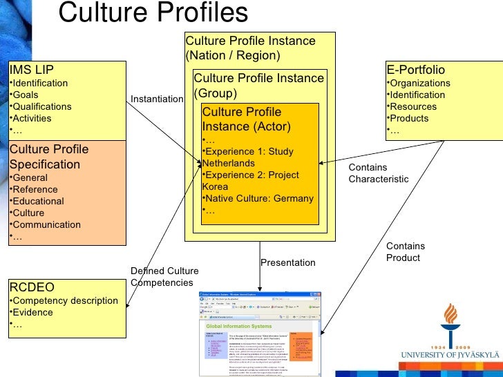 cultural aspects of information systems development