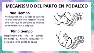 PARTO PODALICO mecanismo de parto podalico | PPTX