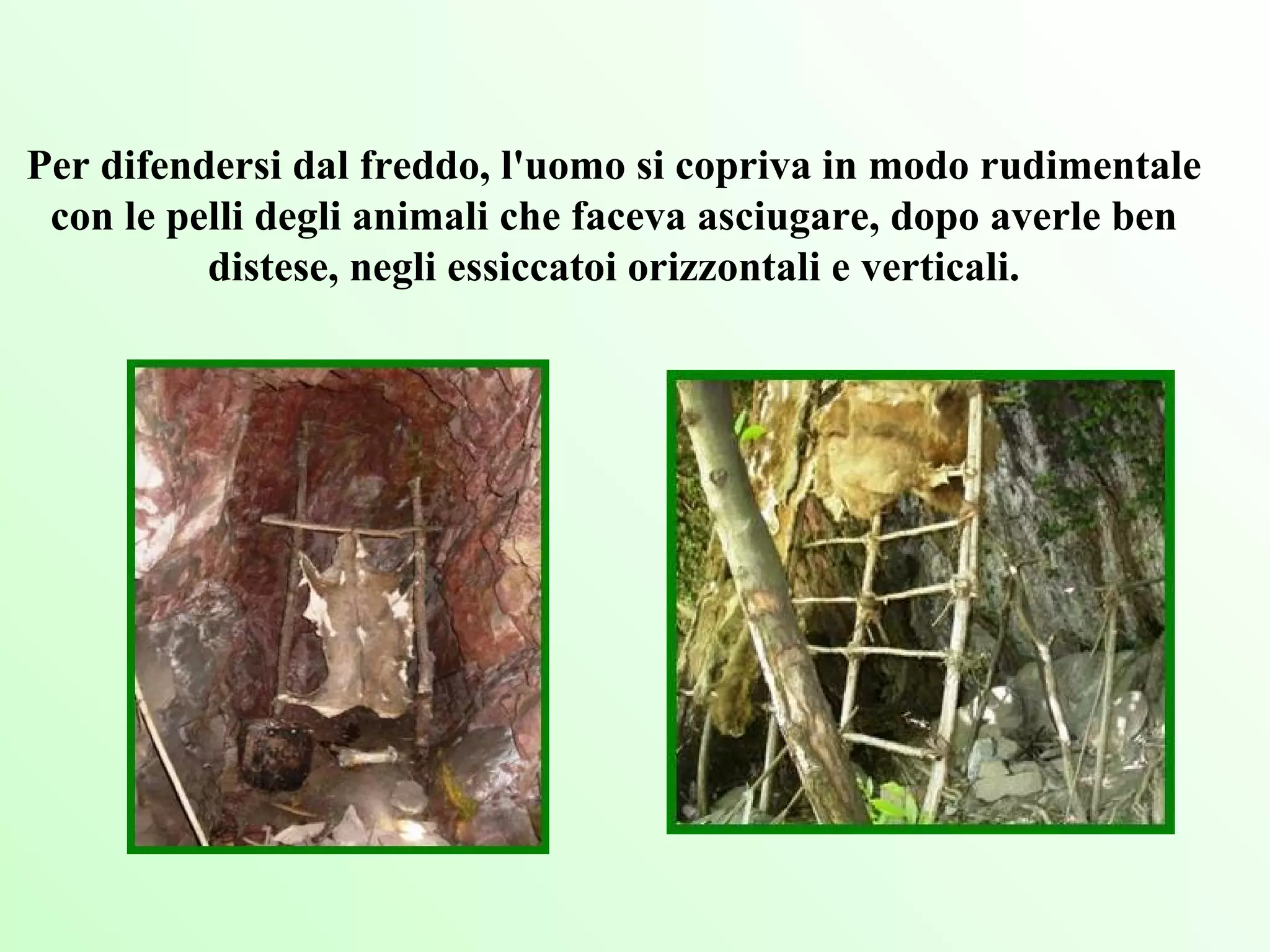 Gli Uomini Primitivi | PPT