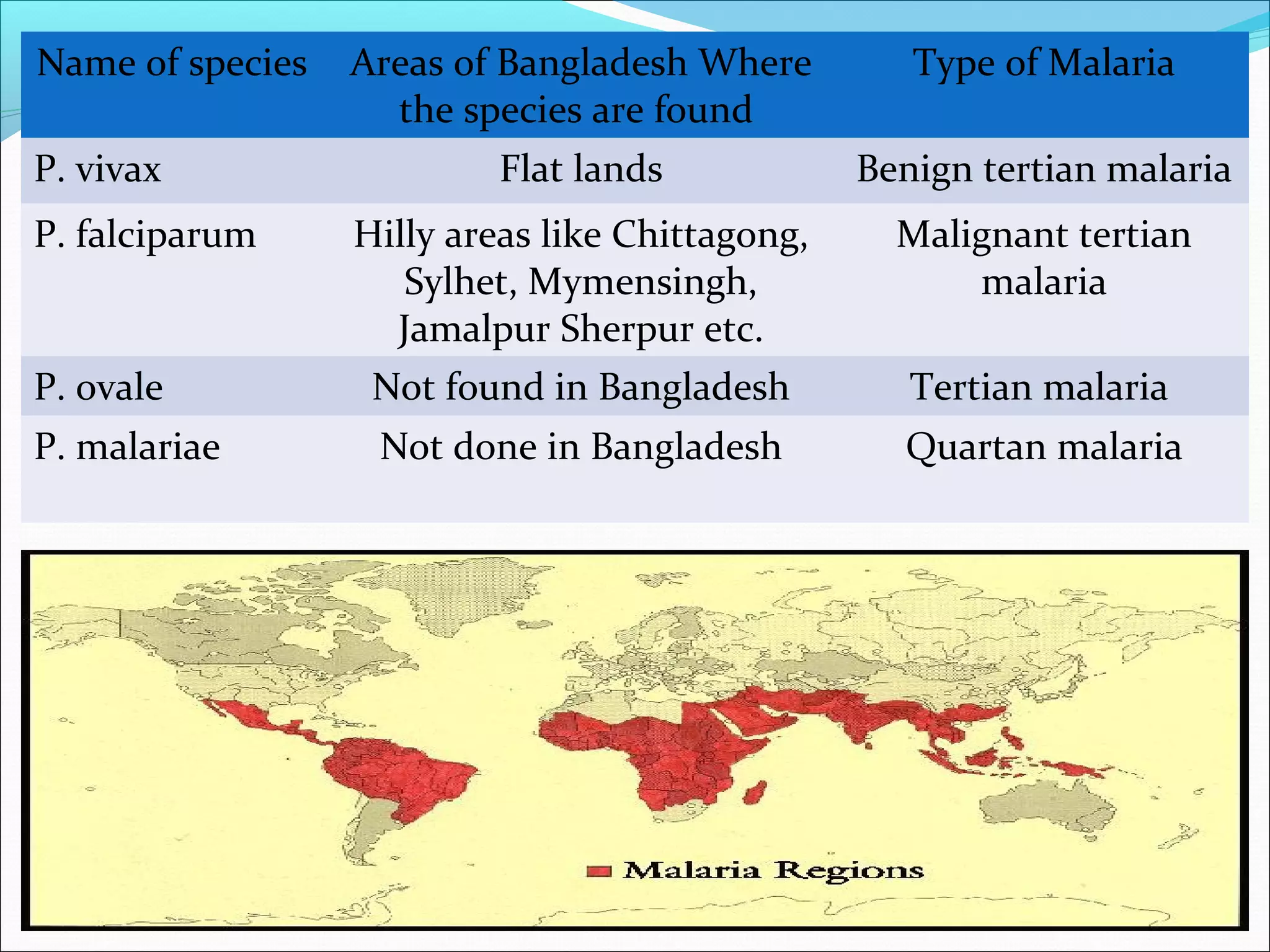 Plasmodium | PPT