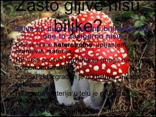 Gljive i lišajevi | PPT