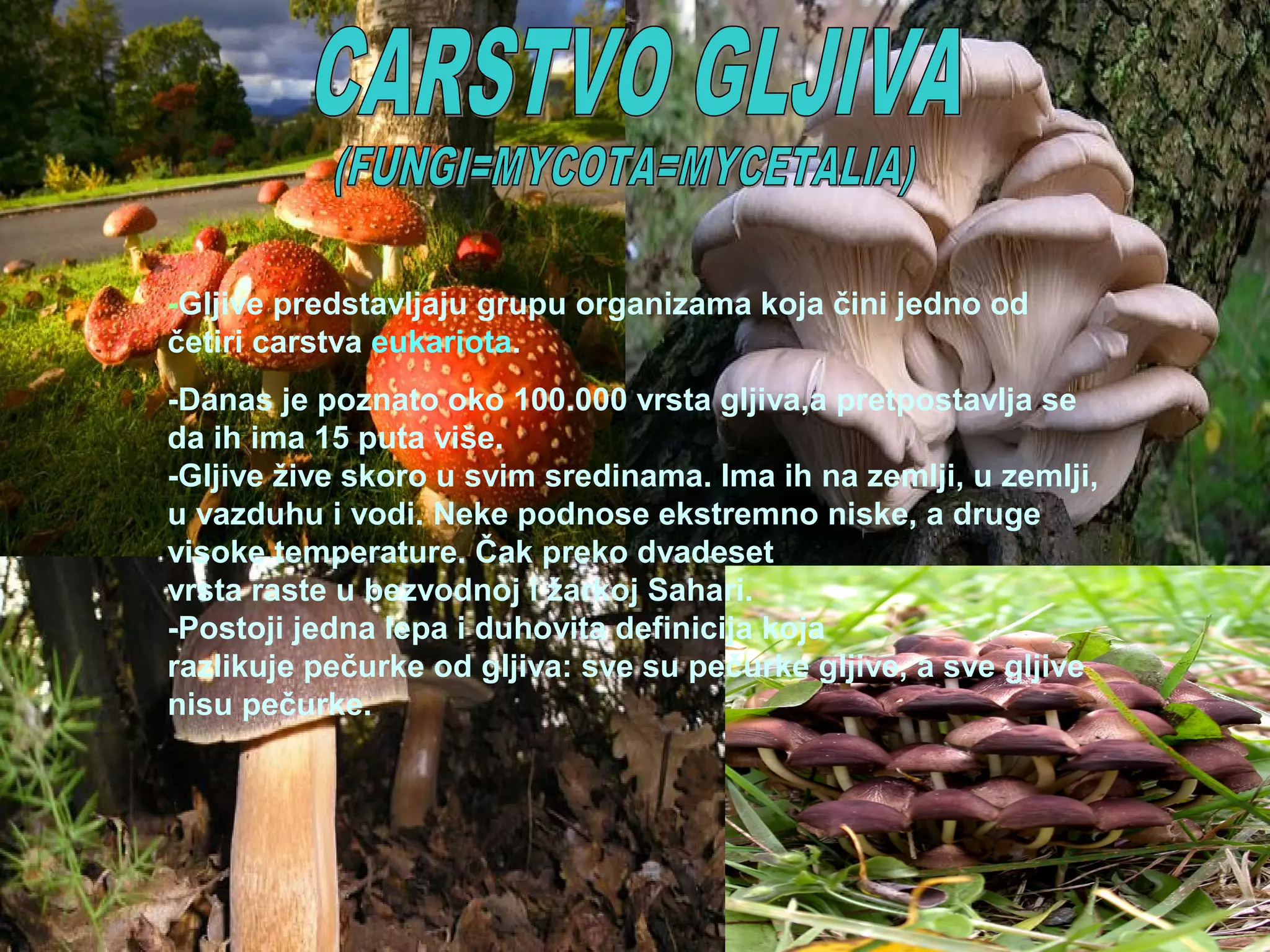 Jestive i otrovne gljive | PPT