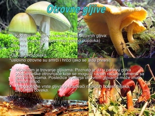 Jestive i otrovne gljive | PPT