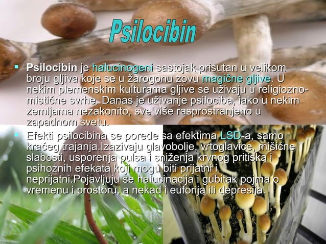 Jestive i otrovne gljive | PPT