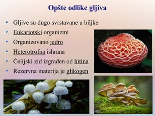Gljive | PPT