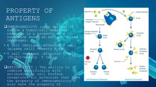 ANTIGENS_.pptx ( Ranjitha SL) PRESENTATION SLIDE | PPT