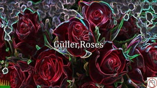 Güller,Roses | PPSX