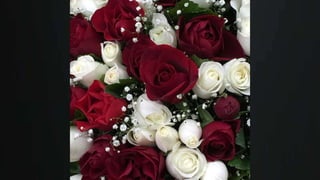 Güller,Roses | PPSX