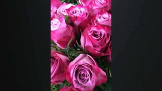 Güller,Roses | PPSX