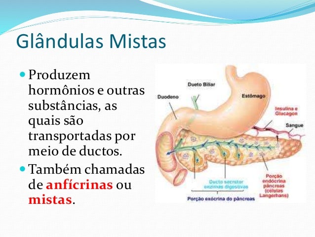 GLÂNDULAS ENDÓCRINAS