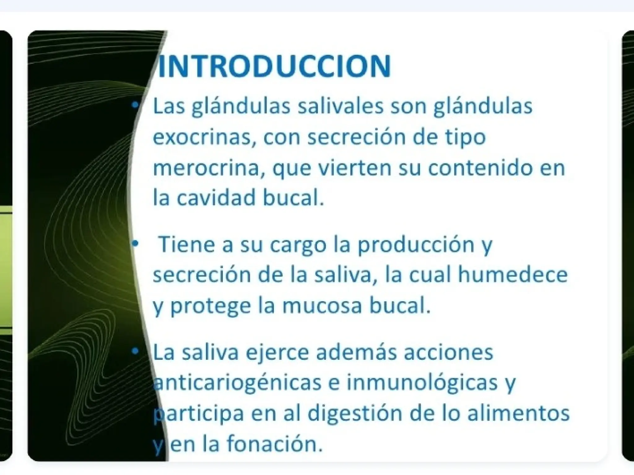 GLÁNDULAS SALIVALES..pptx seminario completo de las glandulas | PPTX