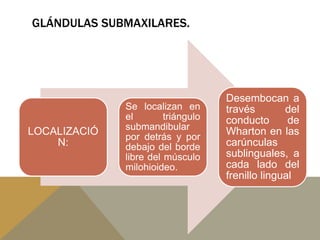 GLÁNDULAS SALIVALES MAYORES.pptx