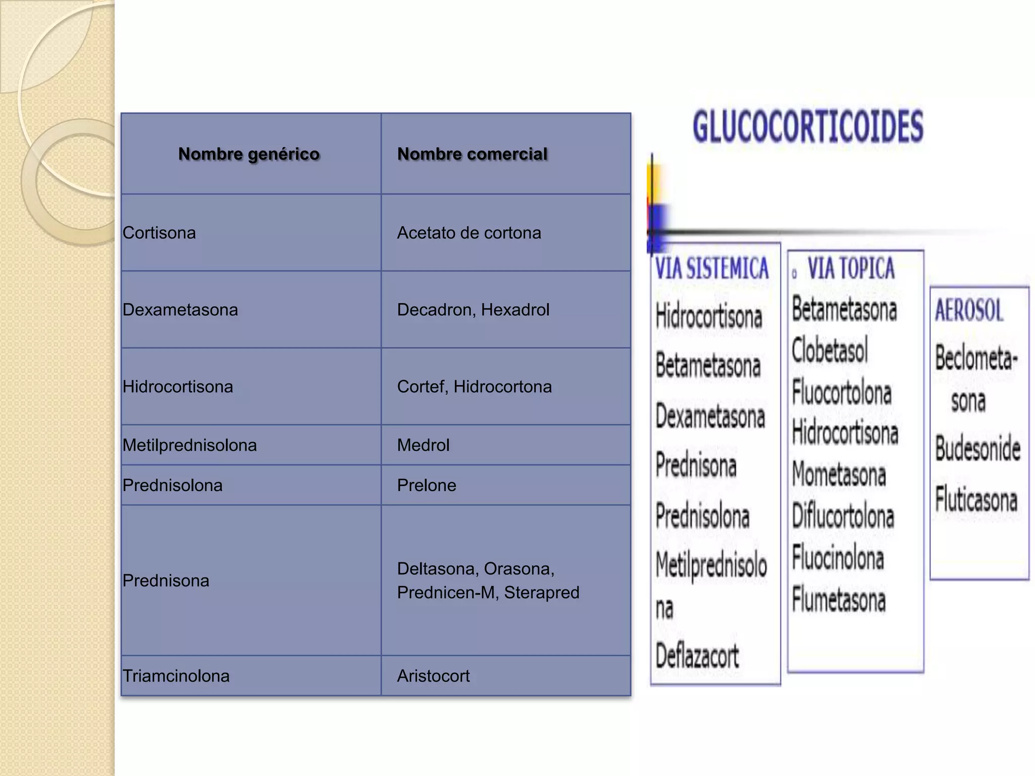 Glándulas suprarrenales | PPTX
