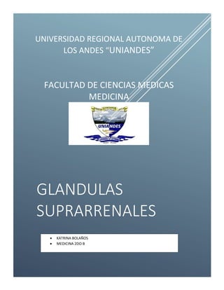 Glándulas suprarrenales | PDF