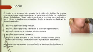 gladula tiroides estructura funciones hormonas | PPTX