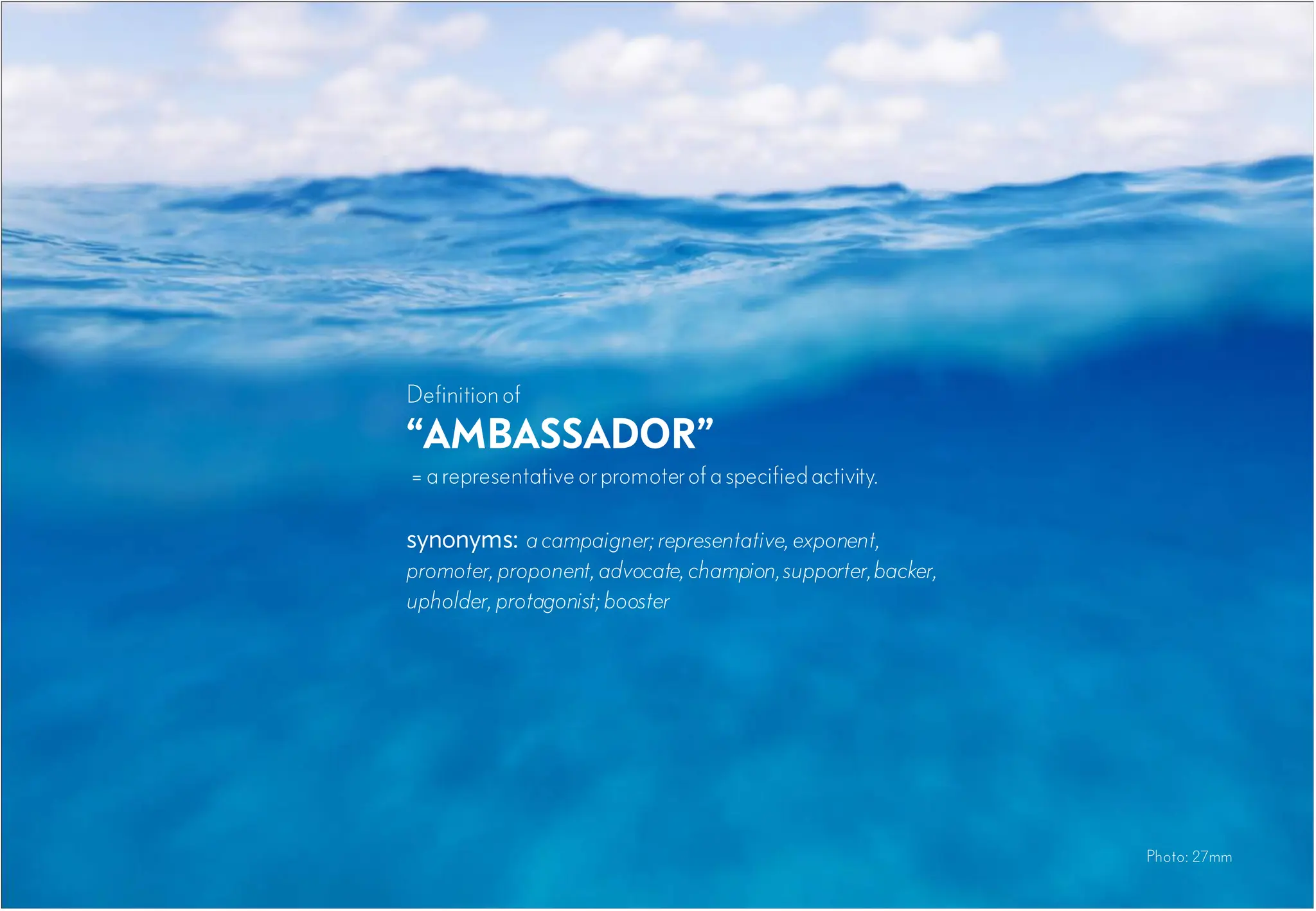 global-ambassador-program.pdf