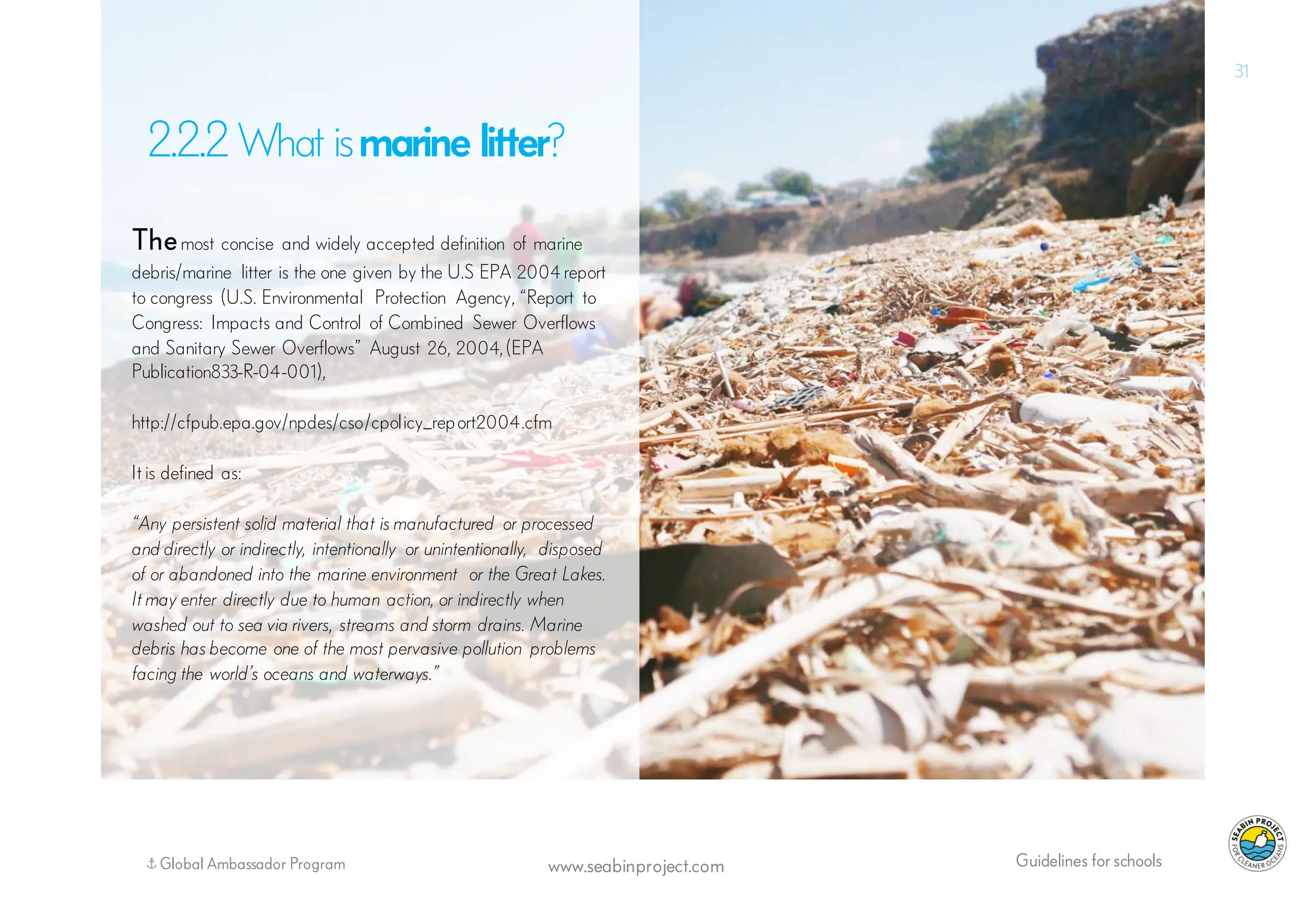 global-ambassador-program.pdf