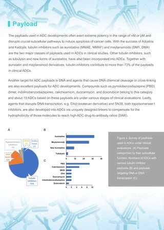 Global ADC Clinical Trial Review | PDF
