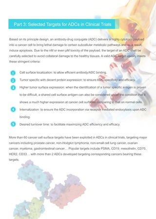 Global antibody-drug-conjugate-adc-clinical-trial-review | PDF