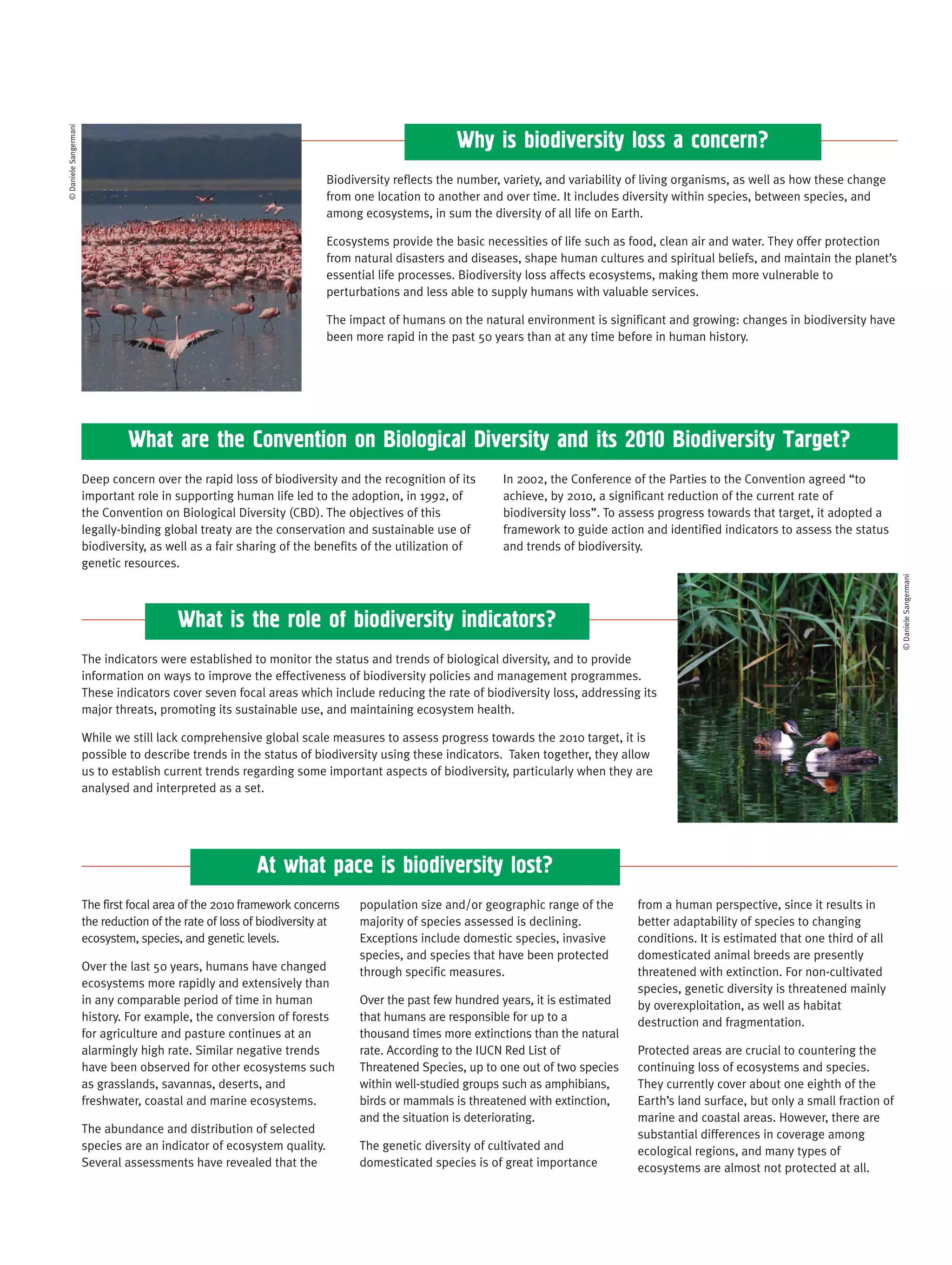 Scientific Facts on Biodiversity A Global Outlook | PDF