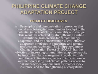 cjfjGlobal-Climate-Phenomenon_ANGELO.pptx