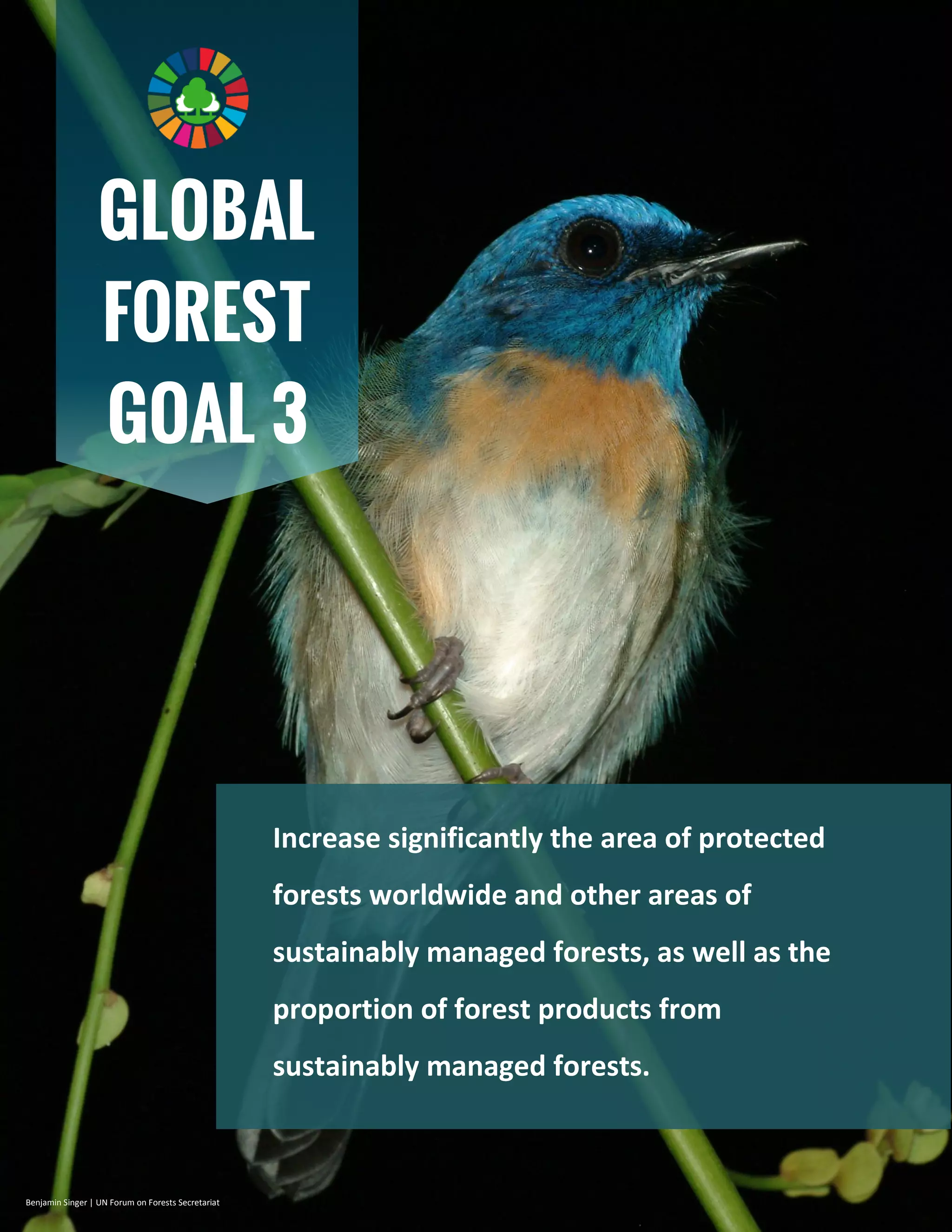 UNITED NATIONS STRATEGIC PLAN FOR FORESTS 2030 | PDF