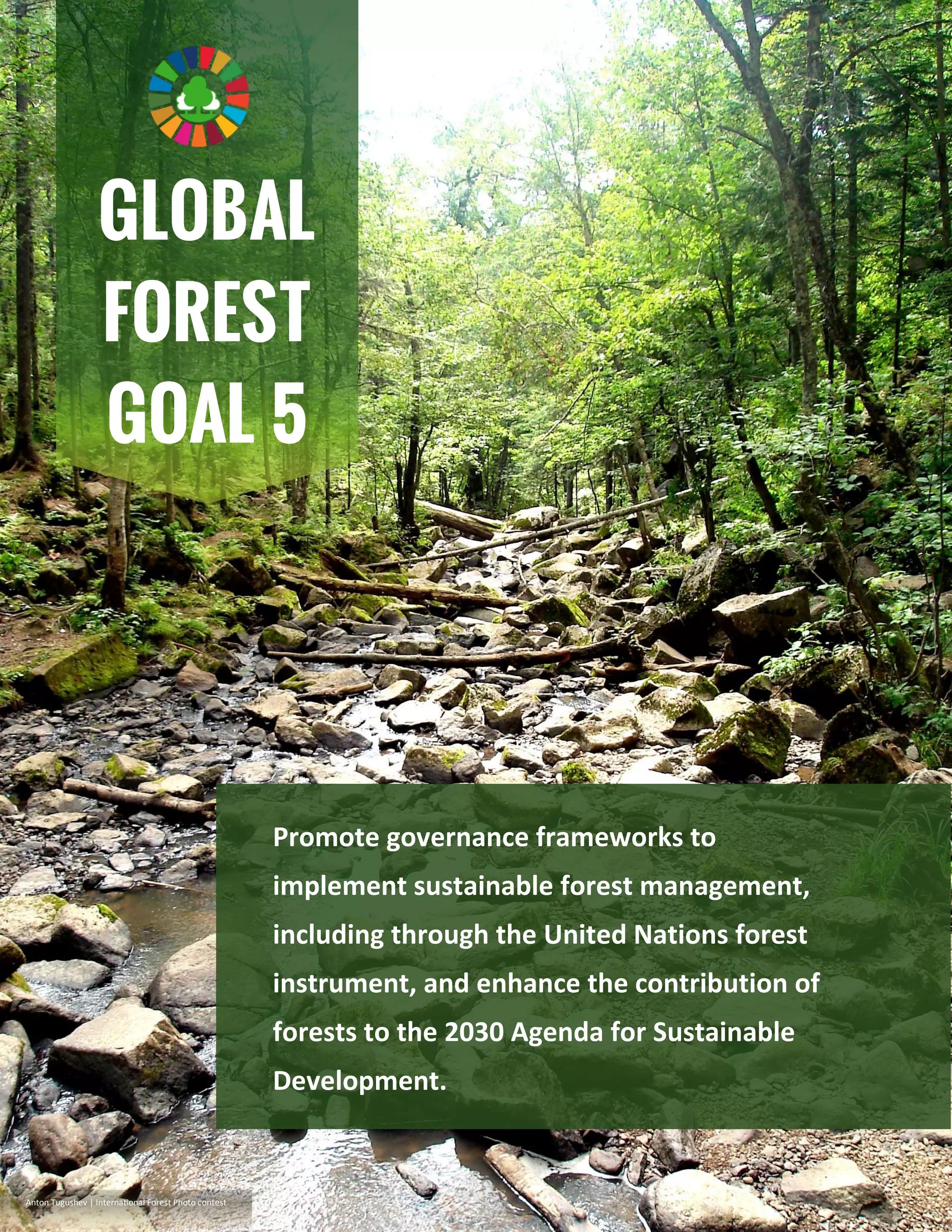 UNITED NATIONS STRATEGIC PLAN FOR FORESTS 2030 | PDF