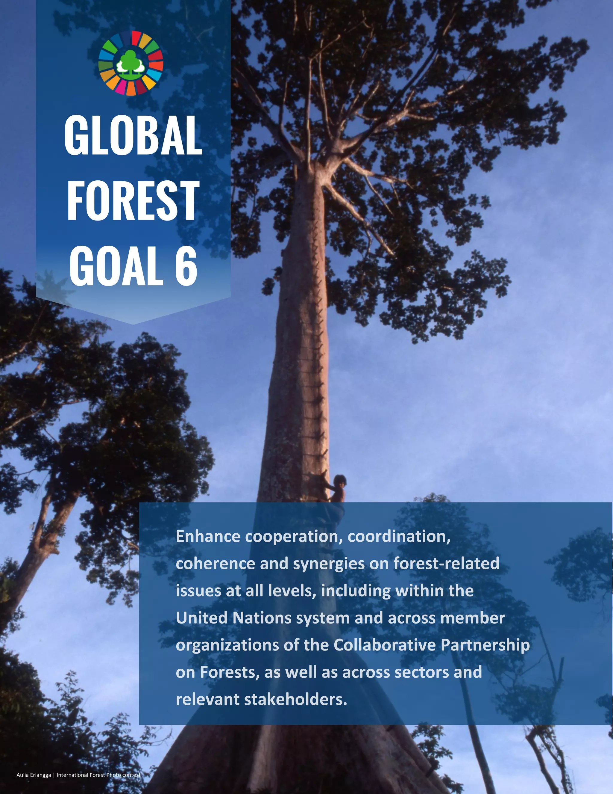 UNITED NATIONS STRATEGIC PLAN FOR FORESTS 2030 | PDF