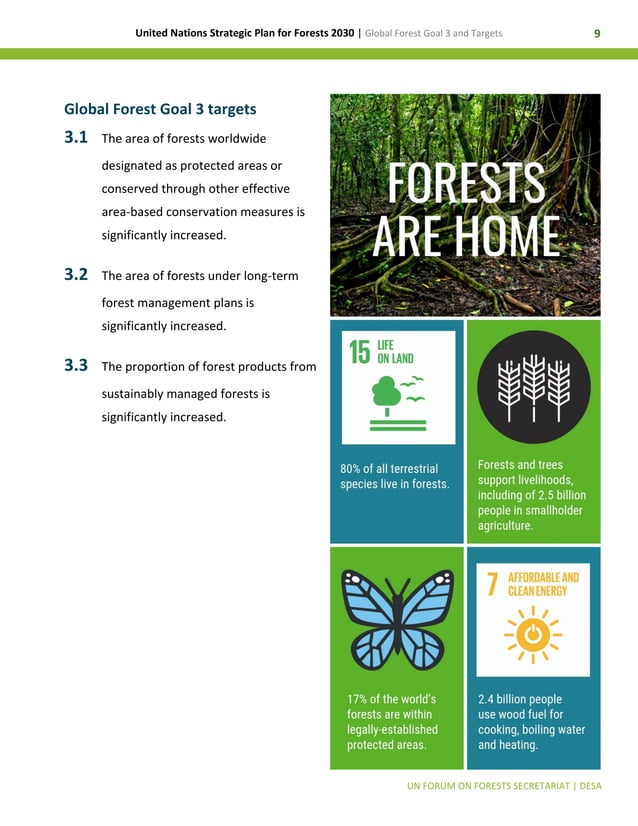 UNITED NATIONS STRATEGIC PLAN FOR FORESTS 2030 | PDF | Environment ...