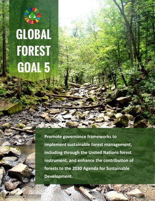 UNITED NATIONS STRATEGIC PLAN FOR FORESTS 2030 | PDF | Environment ...