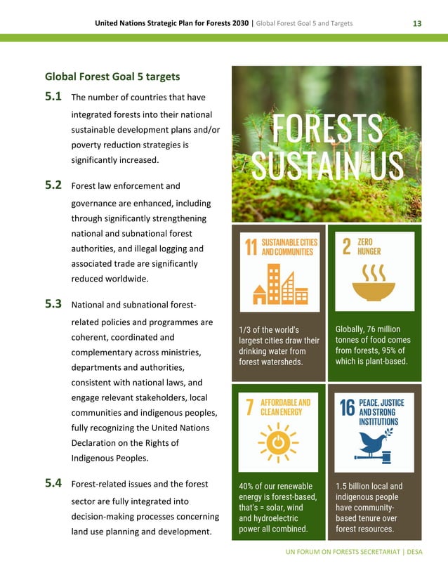 UNITED NATIONS STRATEGIC PLAN FOR FORESTS 2030 | PDF | Environment ...
