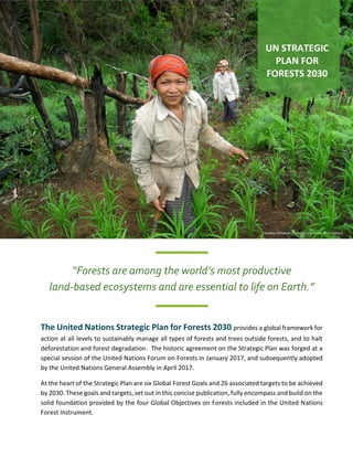 UNITED NATIONS STRATEGIC PLAN FOR FORESTS 2030 | PDF | Environment ...