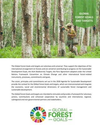 UNITED NATIONS STRATEGIC PLAN FOR FORESTS 2030 | PDF | Environment ...