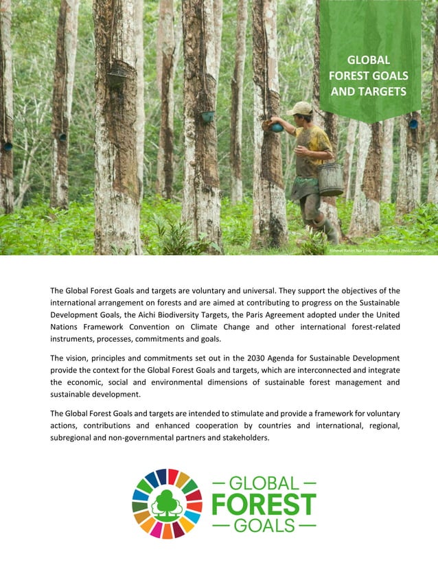 UNITED NATIONS STRATEGIC PLAN FOR FORESTS 2030 | PDF | Environment ...