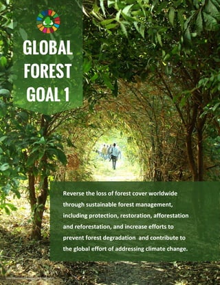 UNITED NATIONS STRATEGIC PLAN FOR FORESTS 2030 | PDF | Environment ...