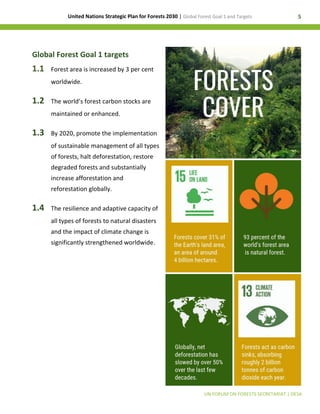 UNITED NATIONS STRATEGIC PLAN FOR FORESTS 2030 | PDF | Environment | Science