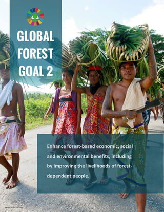 UNITED NATIONS STRATEGIC PLAN FOR FORESTS 2030 | PDF | Environment ...