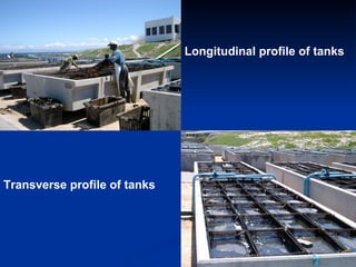 CULTIVATION OF ULVA IN AQUACULTURE EFFLUENT A preliminary investigation ...