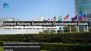 Global Advisor UN SDGs | PPT