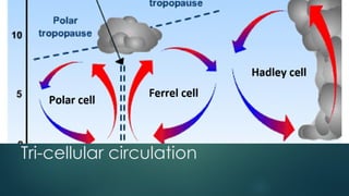 global+air+circulation2.pdf