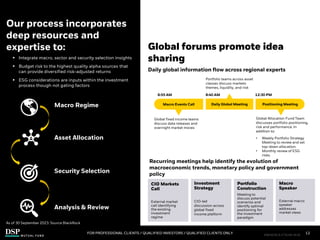 DSP Global Allocation Fund Presentation.pdf