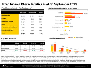 DSP Global Allocation Fund Presentation.pdf