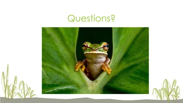 Global Amphibian Declines and Chytridiomycosis | PPT